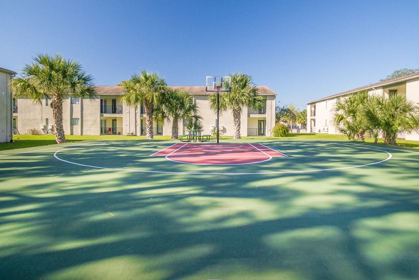 College Town @ USF | Student Apartments - ApartmentsForBulls