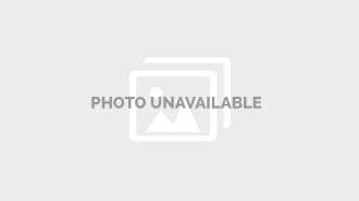 Reserve at Temple Terrace in Temple Terrace, Florida - ApartmentsForBulls