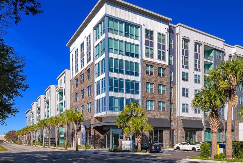 The Standard at Tampa Apartments - ApartmentsForBulls