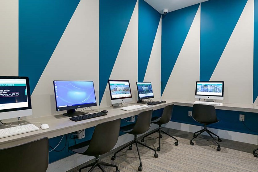 The Standard at Tampa Apartments - ApartmentsForBulls